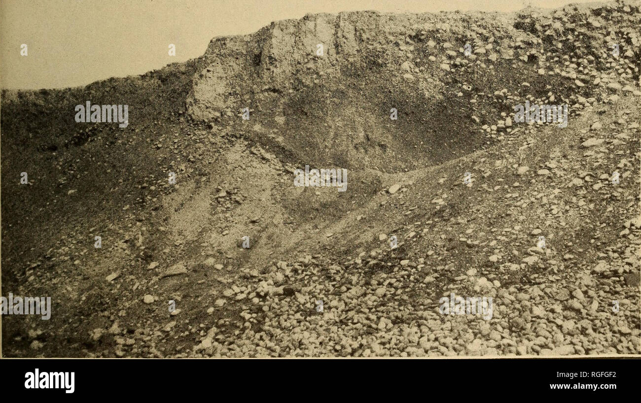 Fossiliferous clay hi-res stock photography and images - Alamy