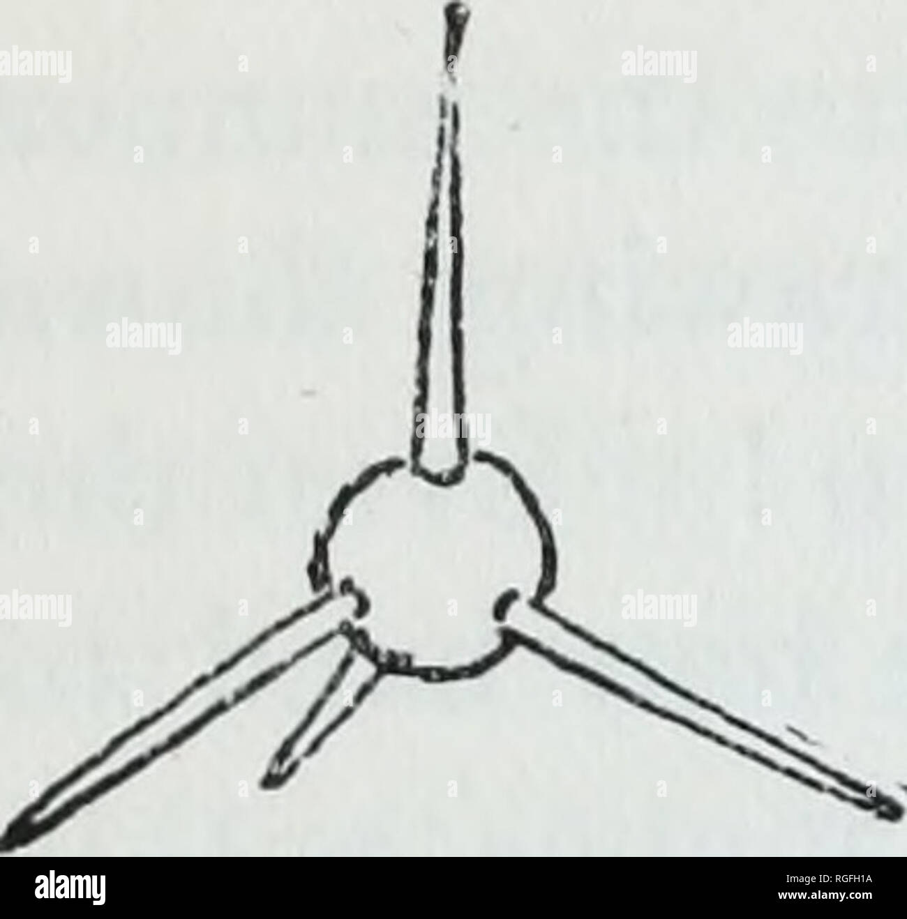 Caltrop spike hi-res stock photography and images - Alamy