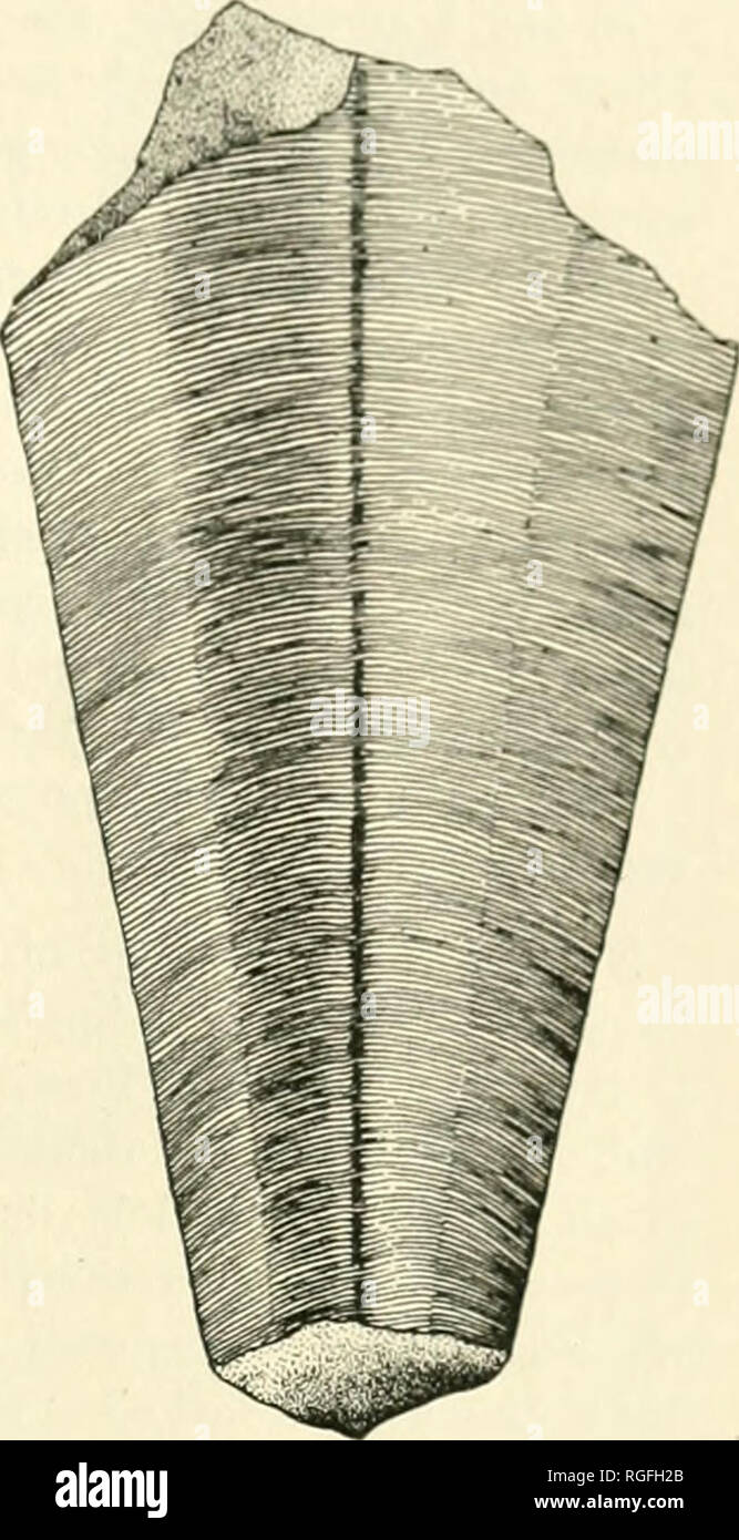 . Bulletin of the Buffalo Society of Natural Sciences. Natural history ...