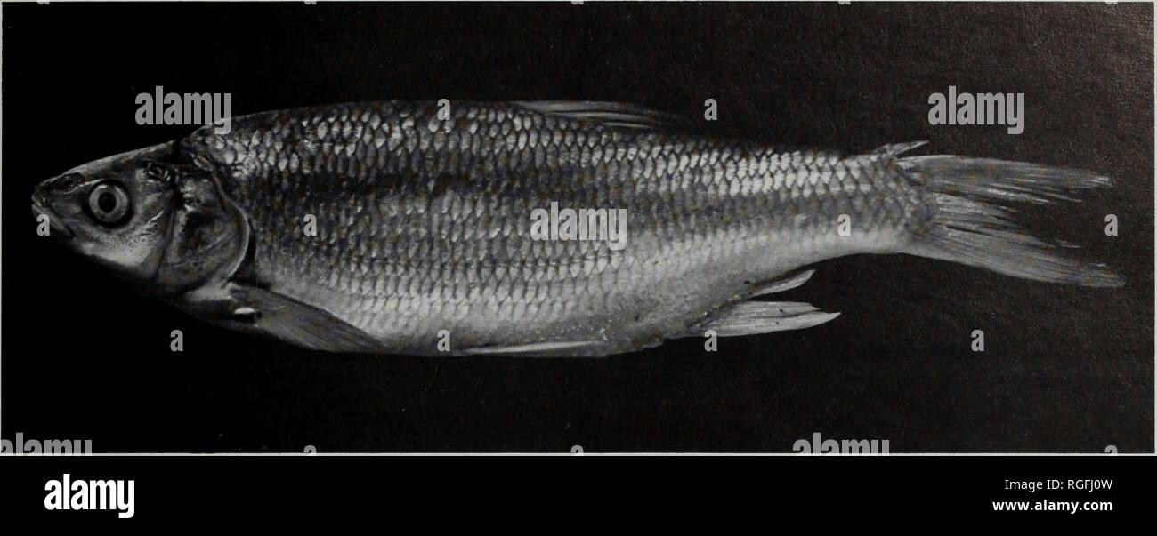 371 mm hi-res stock photography and images - Alamy