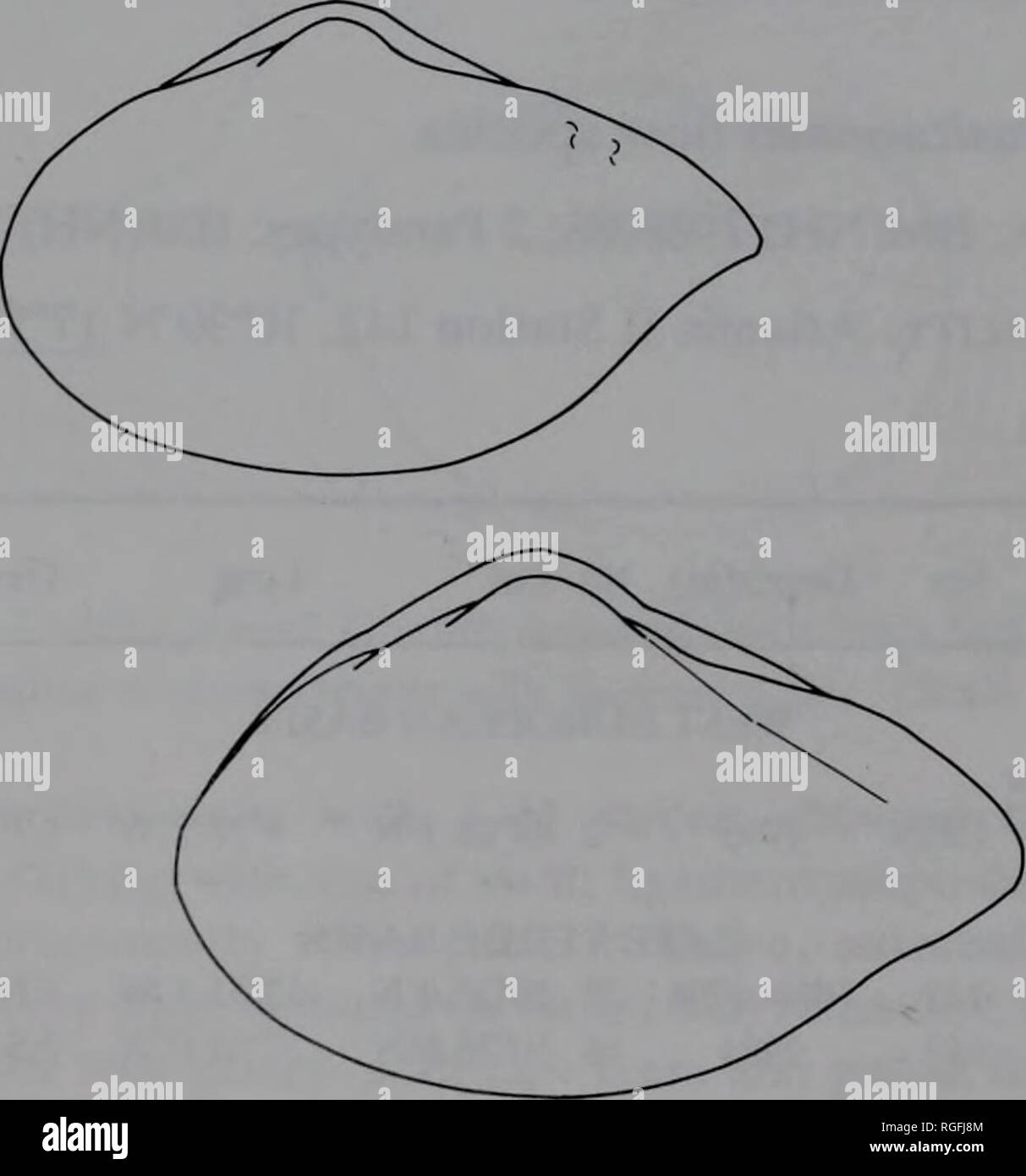 . Bulletin of the British Museum (Natural History) Zoology. . Fig. 36 ...