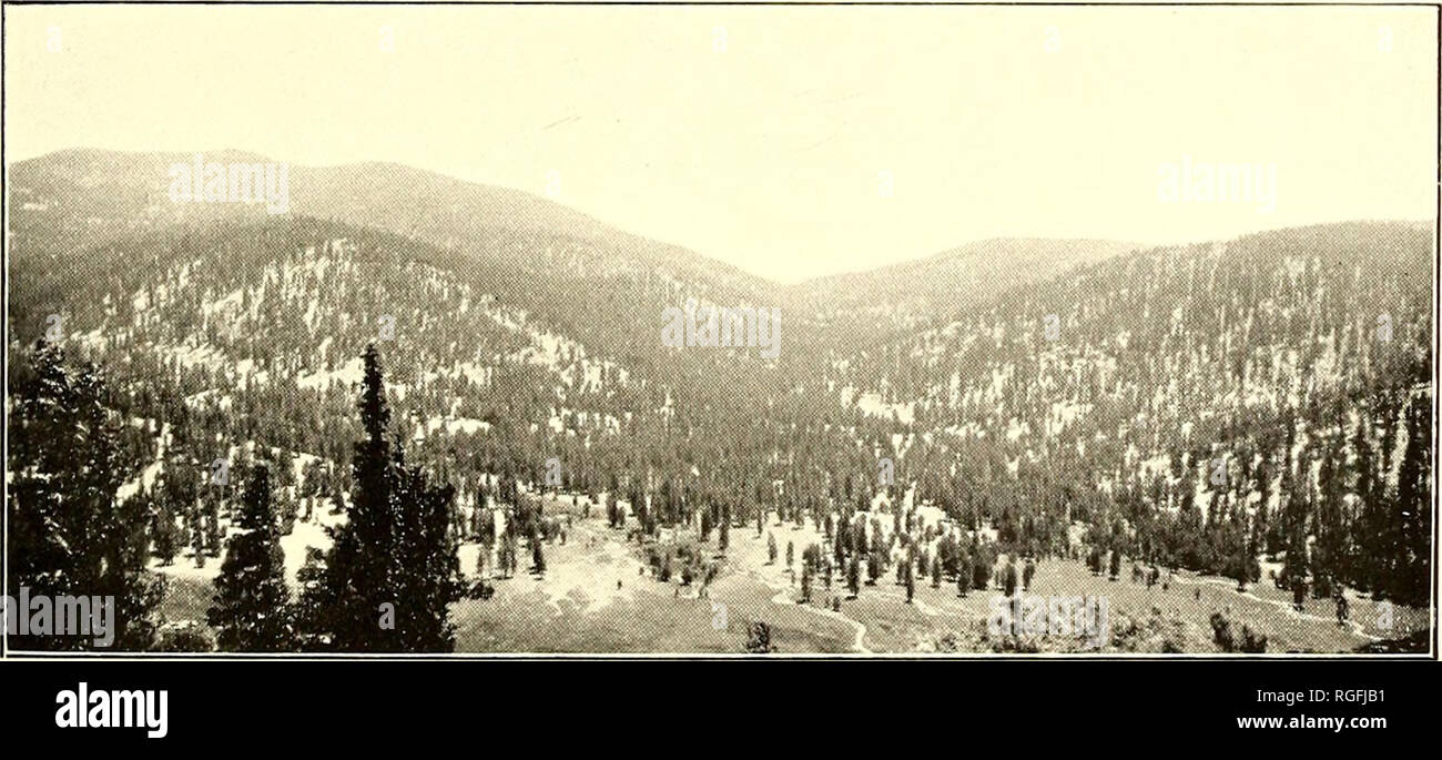 . Bulletin of the Department of Geology. Geology. B North side of Toowa ...