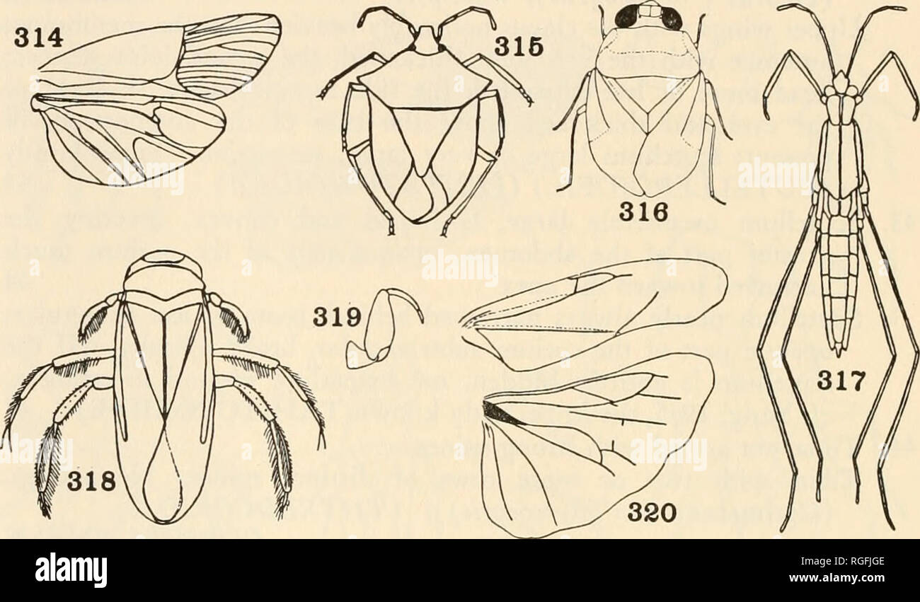 . Bulletin of the Museum of Comparative Zoology at Harvard College ...