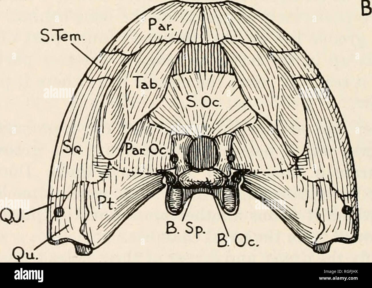 . Bulletin of the Museum of Comparative Zoology at Harvard College ...