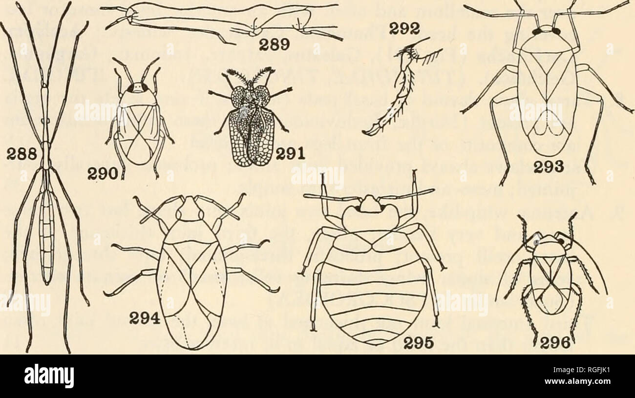 . Bulletin of the Museum of Comparative Zoology at Harvard College ...