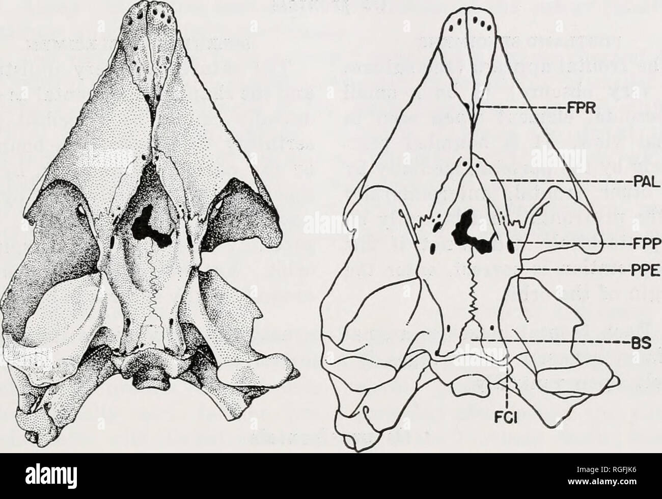 . Bulletin of the Museum of Comparative Zoology at Harvard College ...
