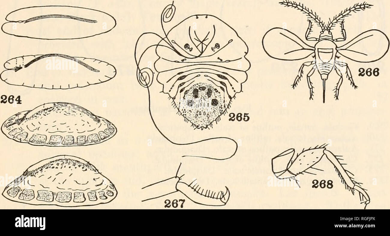 . Bulletin of the Museum of Comparative Zoology at Harvard College ...