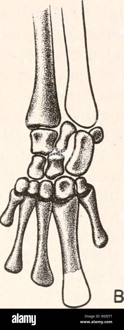 . Bulletin of the Museum of Comparative Zoology at Harvard College ...