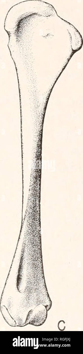 Rough tral hi-res stock photography and images - Alamy