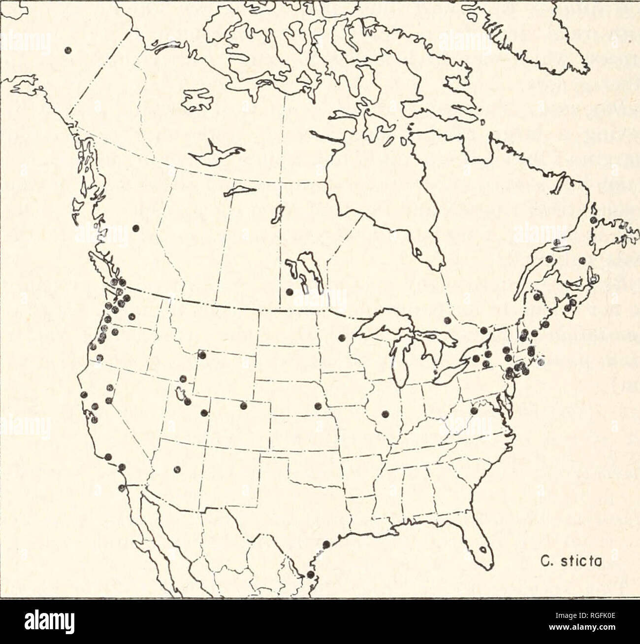 1876 1881 zoology hi-res stock photography and images - Alamy