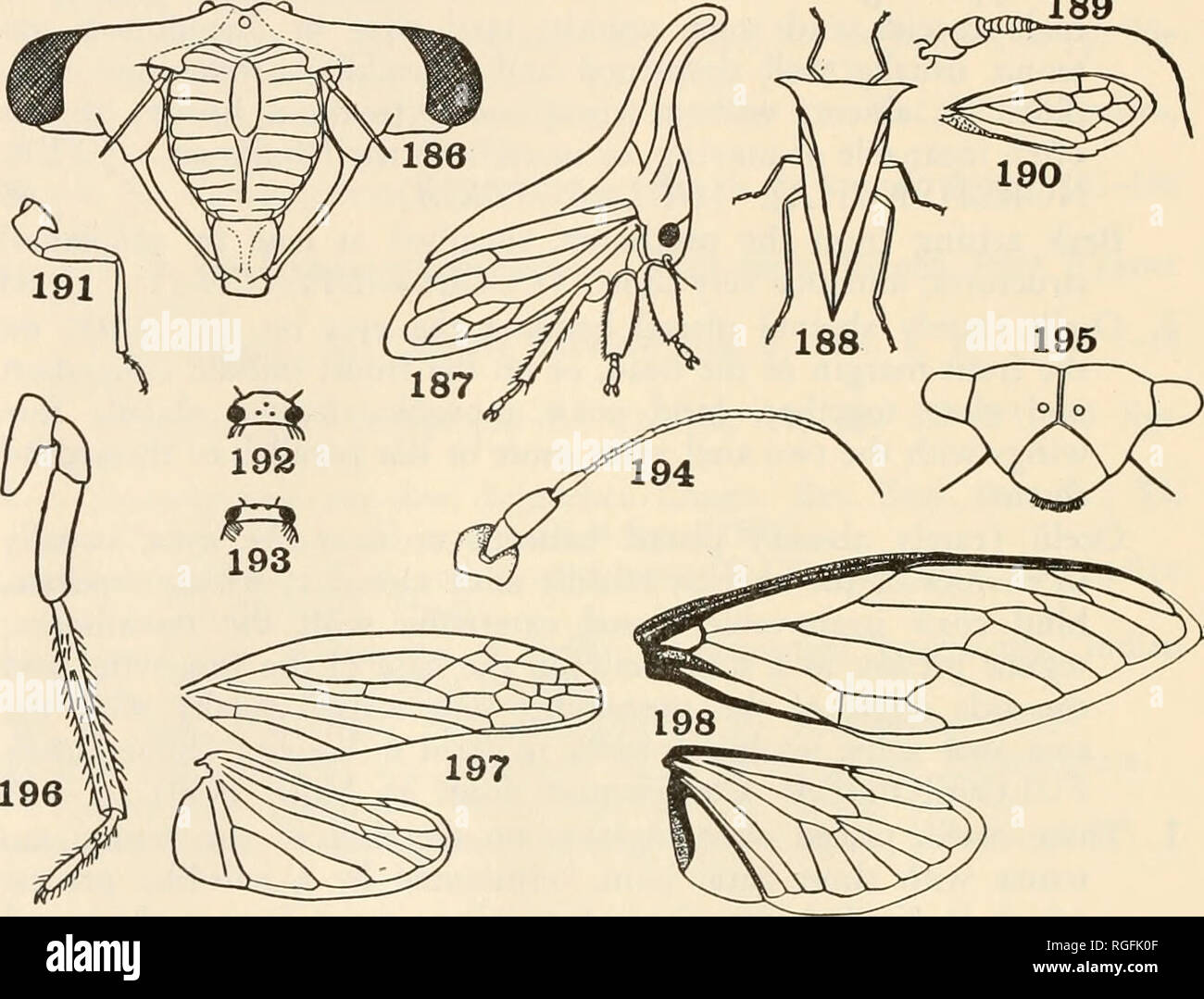 . Bulletin of the Museum of Comparative Zoology at Harvard College ...