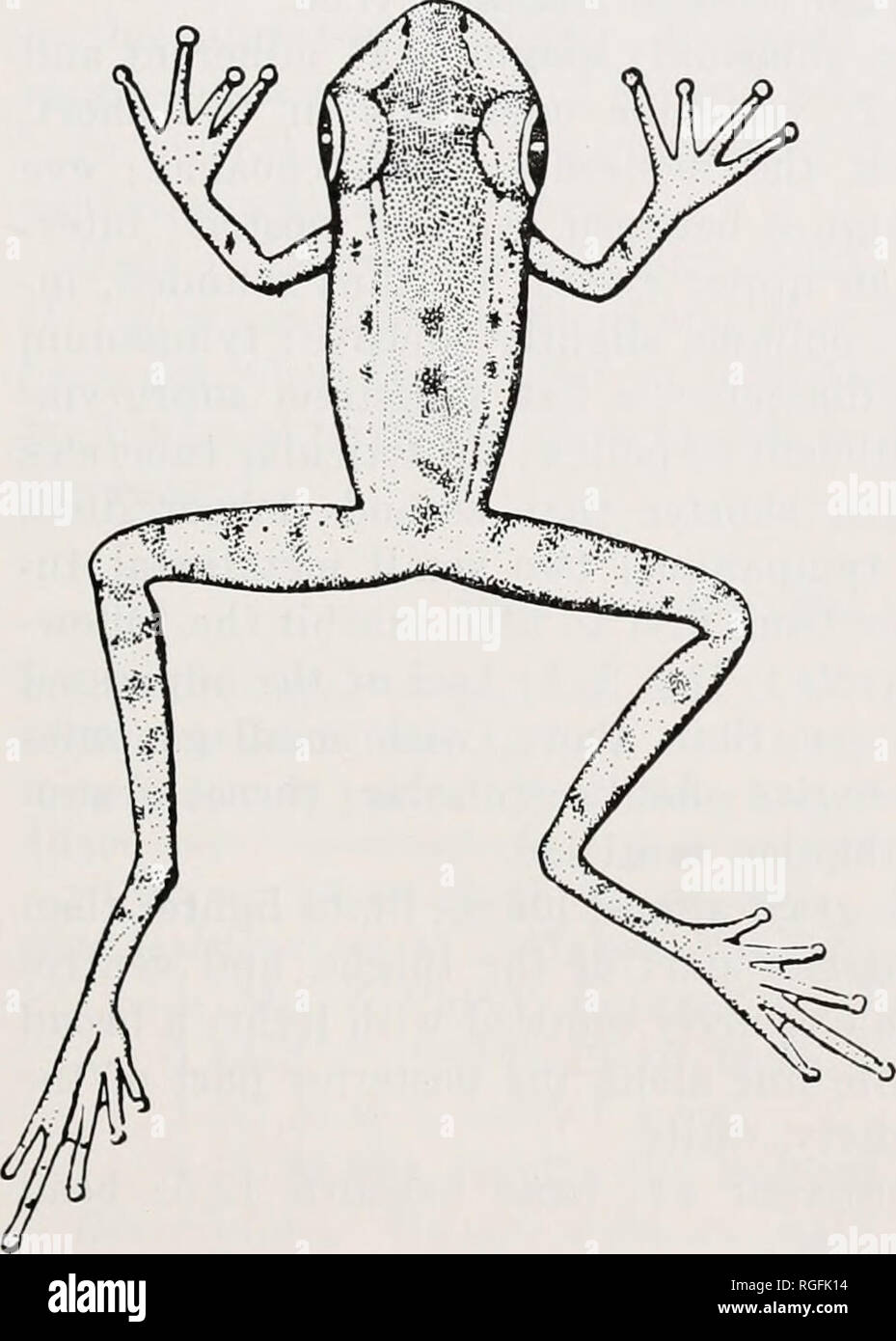 Interorbital bars hi-res stock photography and images - Alamy