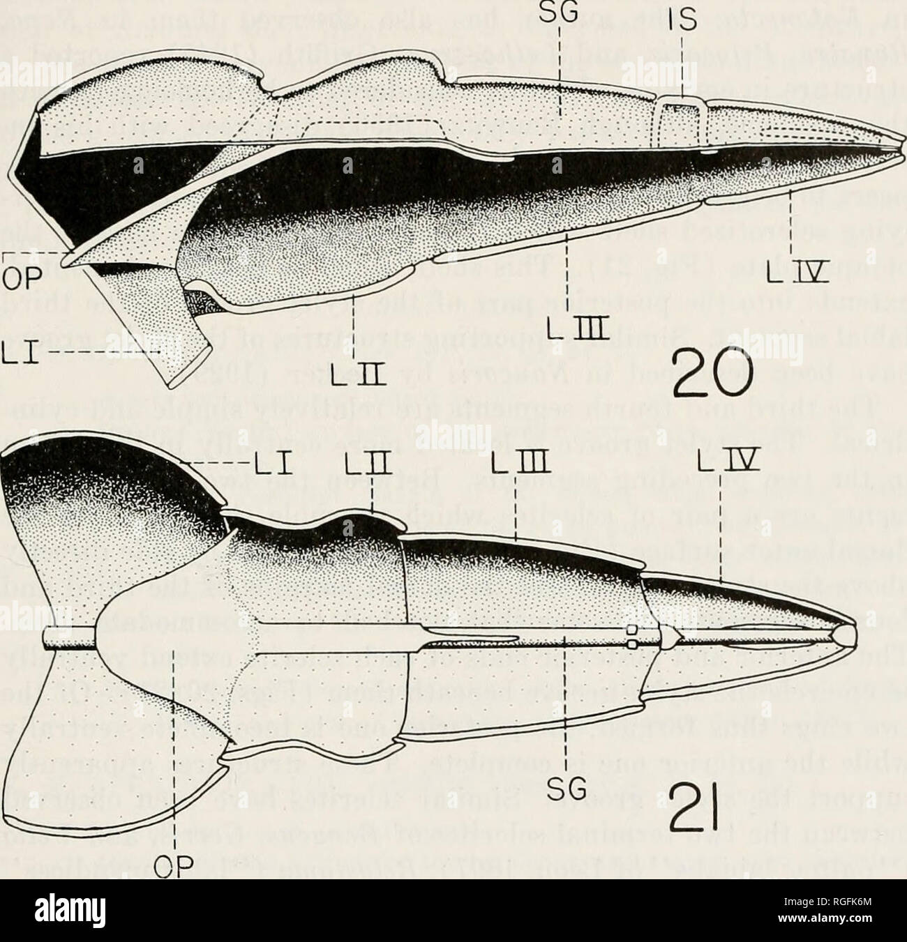. Bulletin of the Museum of Comparative Zoology at Harvard College ...