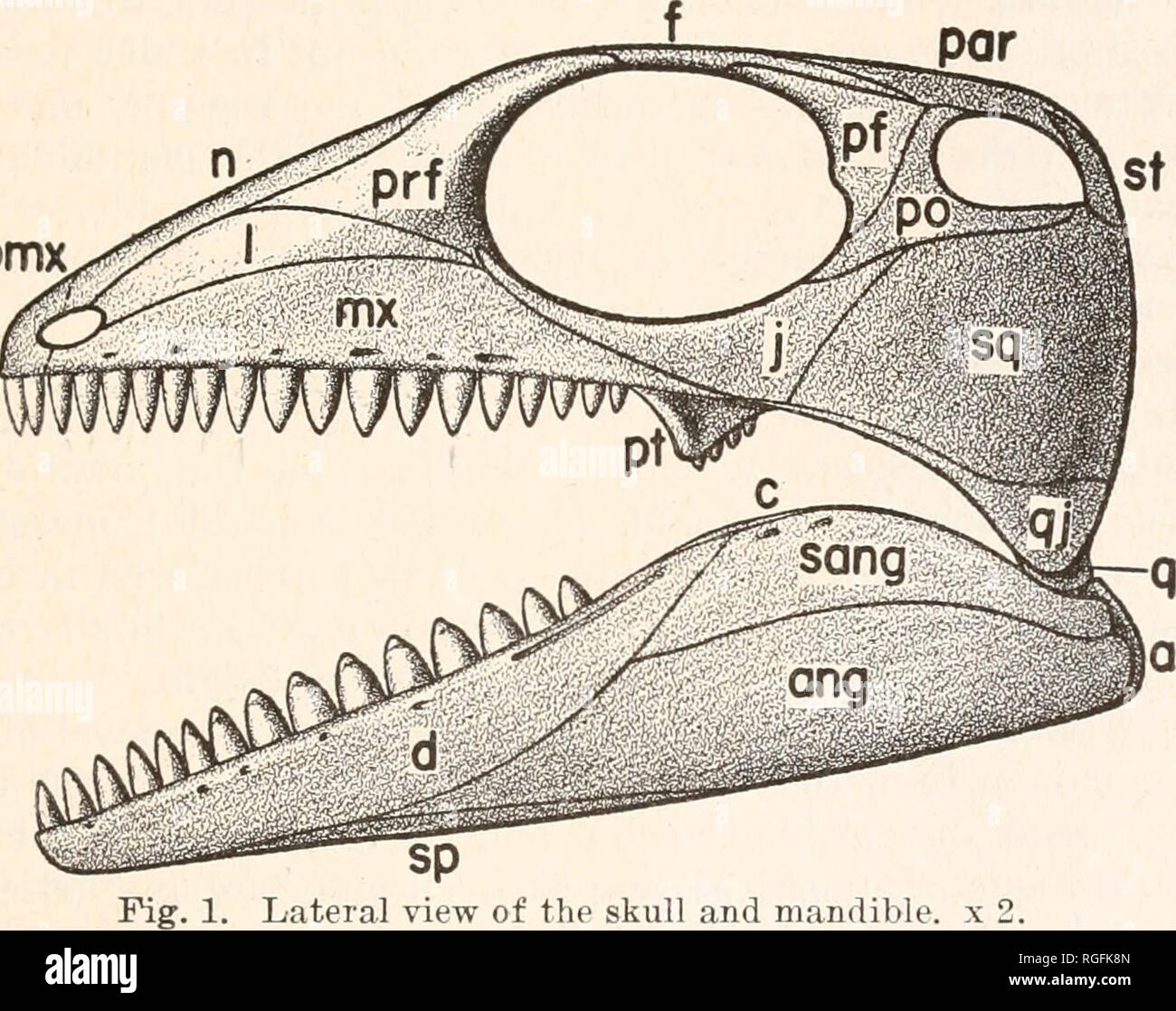 . Bulletin of the Museum of Comparative Zoology at Harvard College ...