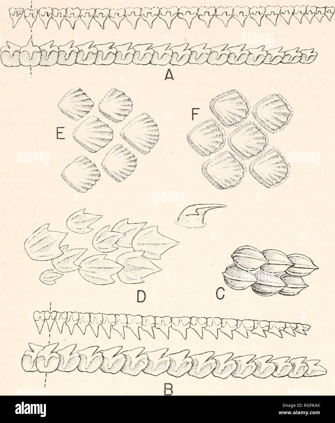 . Bulletin of the Museum of Comparative Zoology at Harvard College ...
