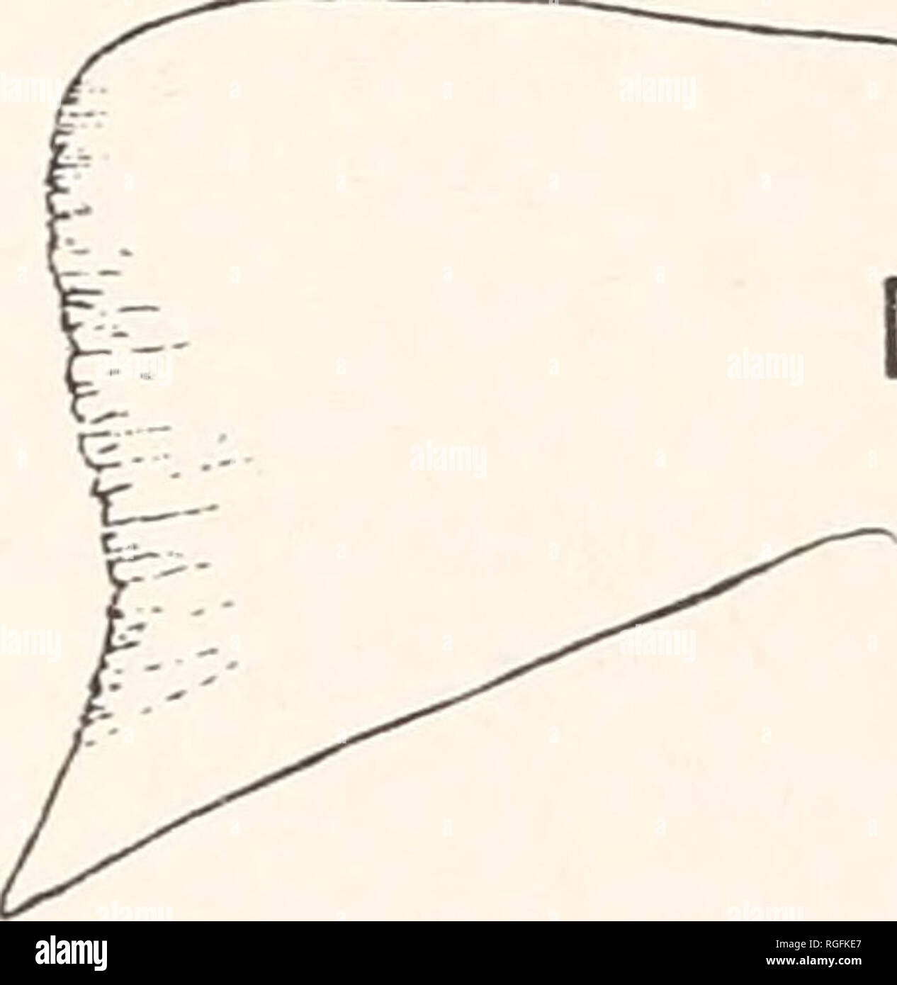 Harvard 2b hi-res stock photography and images - Alamy