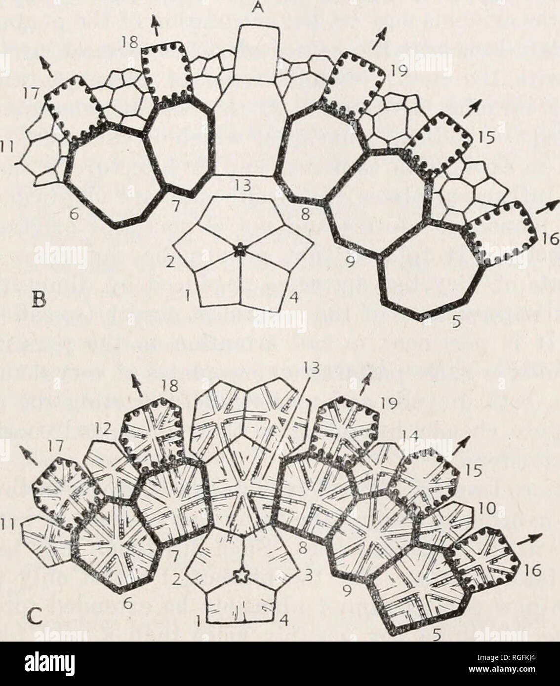. Bulletin of the Museum of Comparative Zoology at Harvard College ...