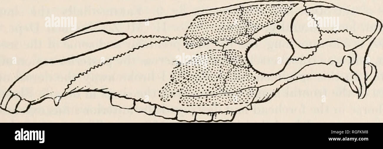. Bulletin of the Museum of Comparative Zoology at Harvard College ...