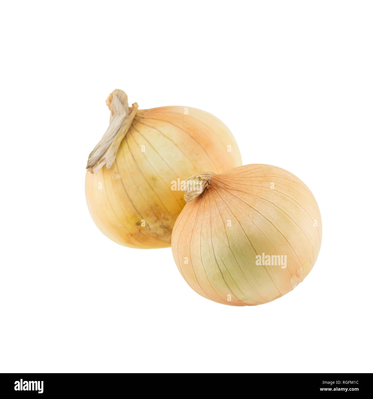 Onion isolated on white background Stock Photo - Alamy