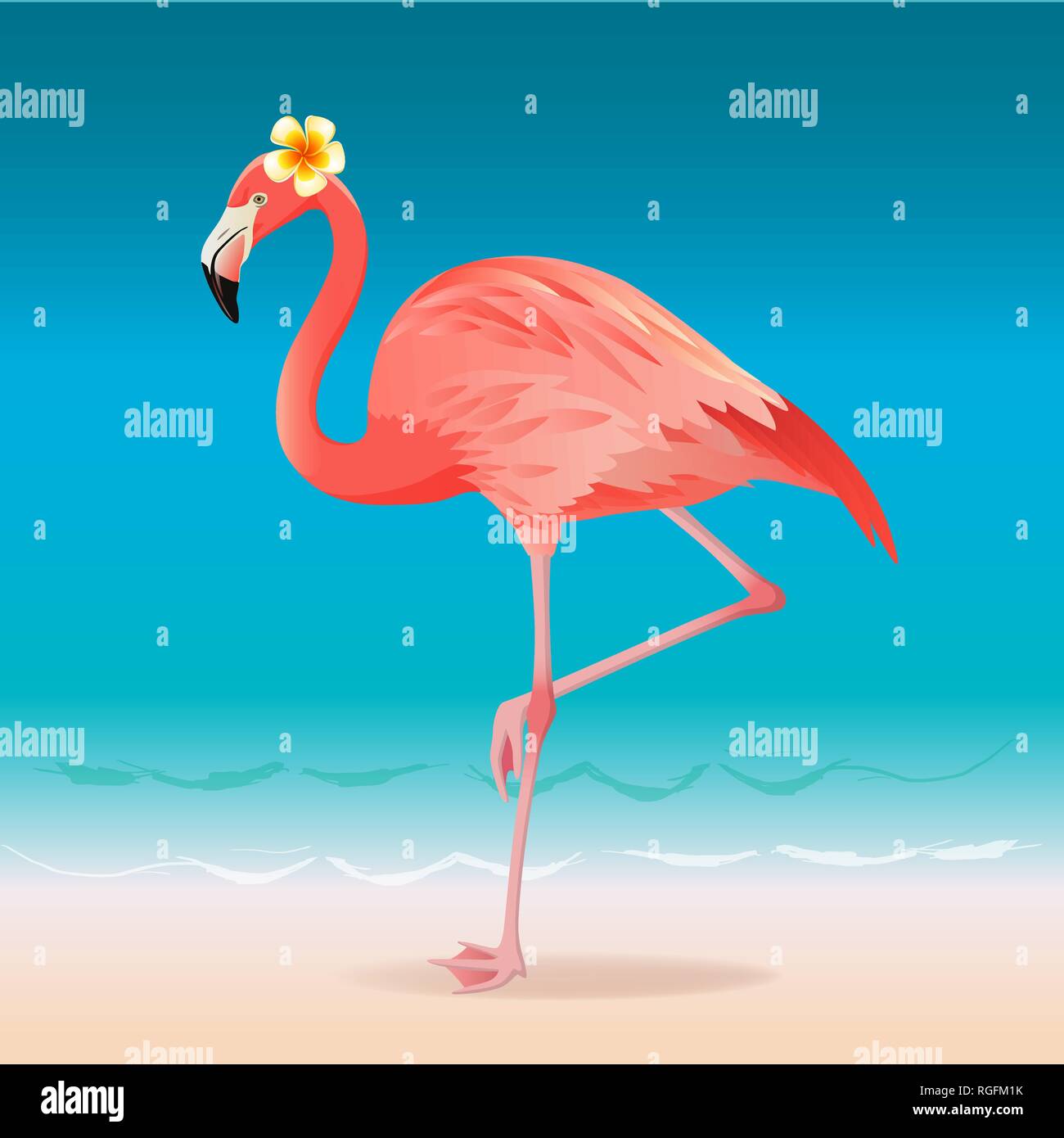 Exotic pink flamingo walking on the hot summer beach. Pink flamingo ...
