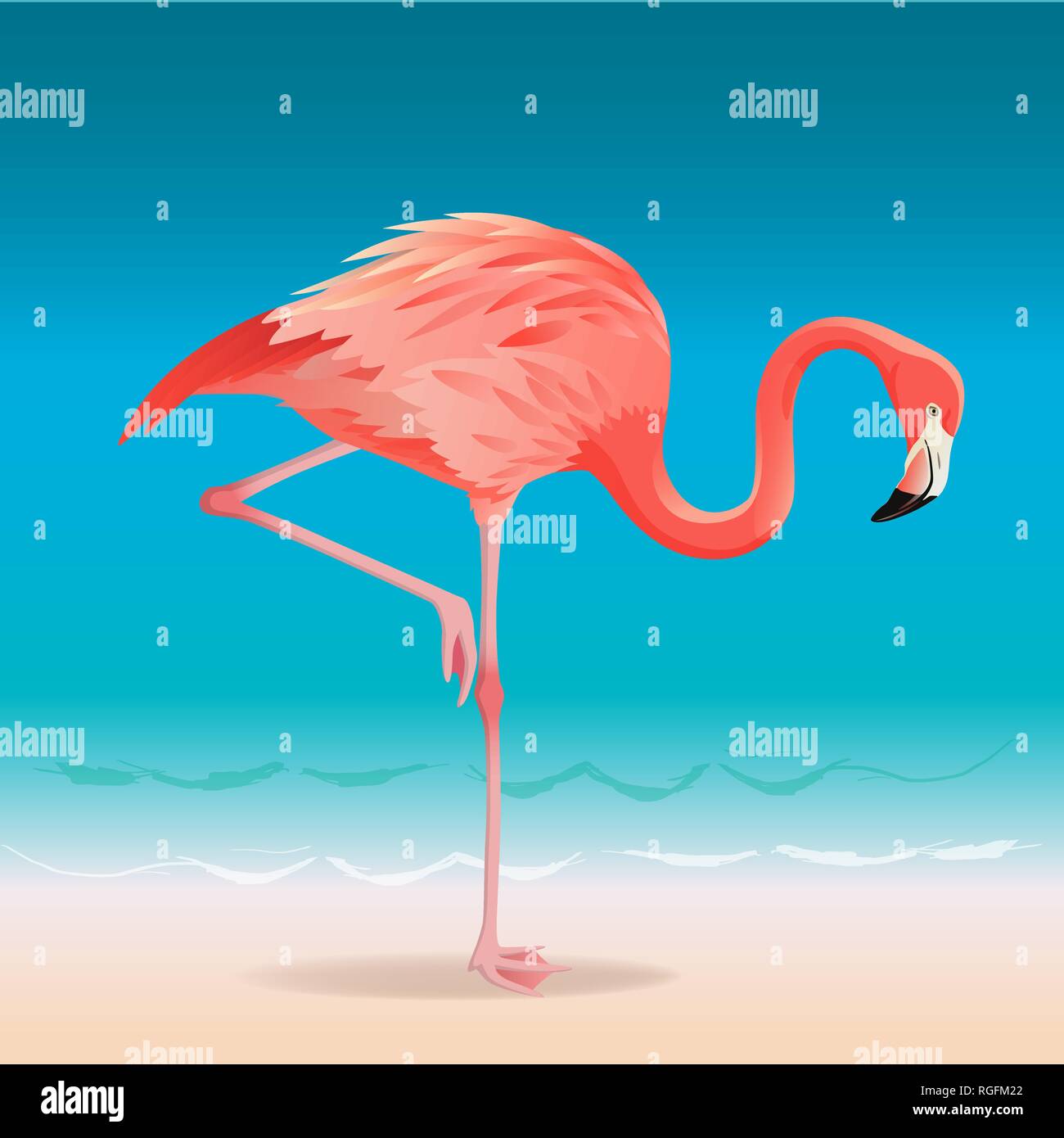 Exotic pink flamingo walking on the hot summer beach. Pink flamingo ...