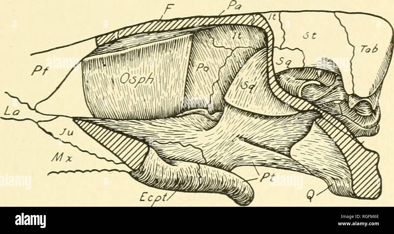 . Bulletin of the Museum of Comparative Zoology at Harvard College ...