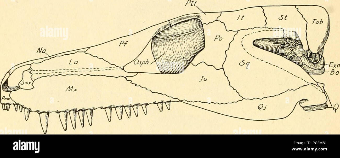 Border Locking High Resolution Stock Photography and Images - Alamy