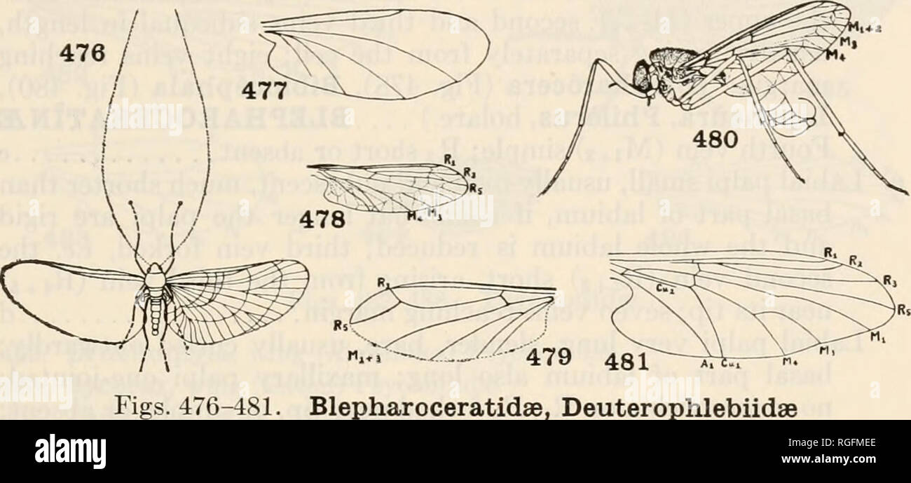 Antocha hi-res stock photography and images - Alamy