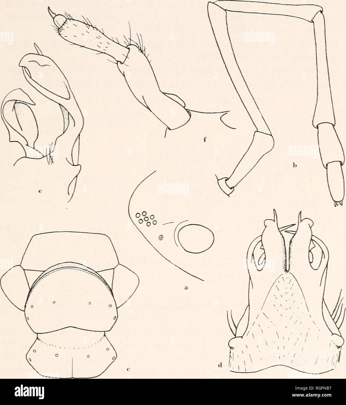 . Bulletin of the Museum of Comparative Zoology at Harvard College ...