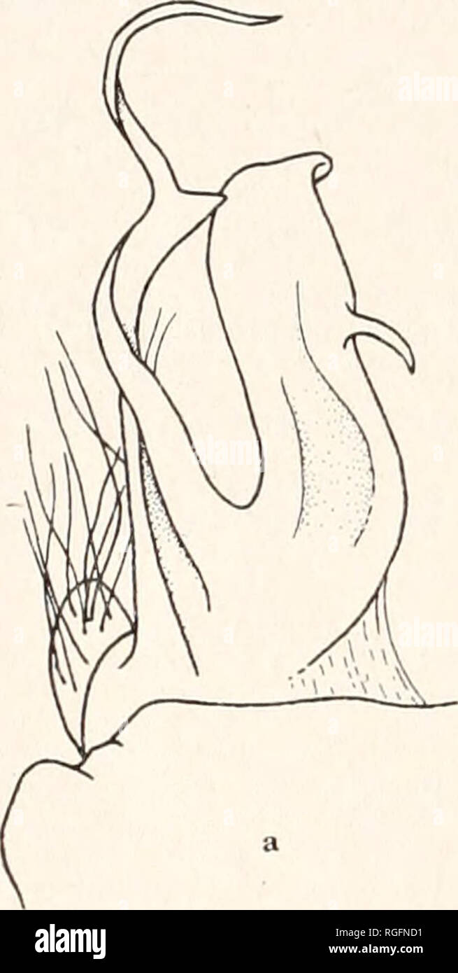 Slightly elevated angle hi-res stock photography and images - Alamy