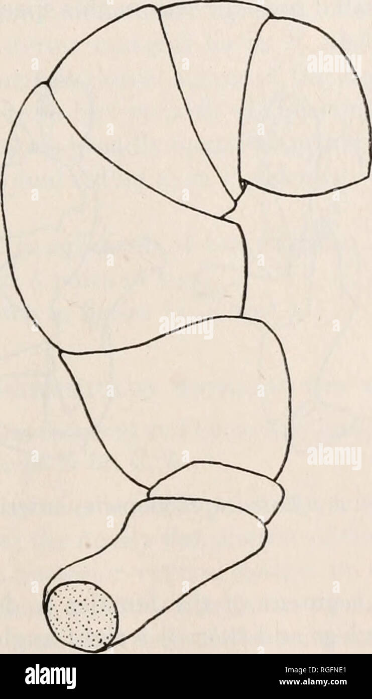 . Bulletin of the Museum of Comparative Zoology at Harvard College ...