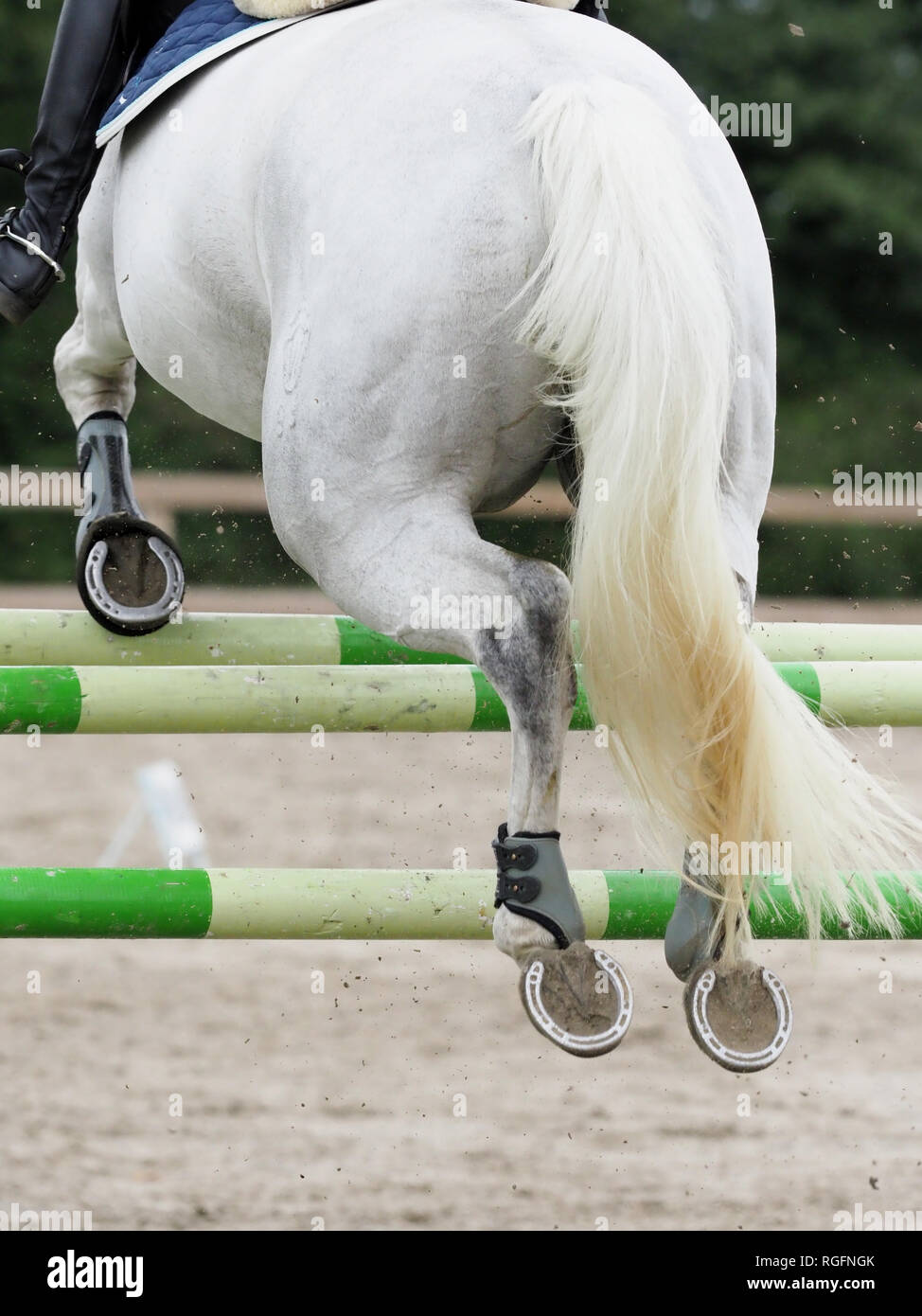 Show jumping fence hi-res stock photography and images - Alamy
