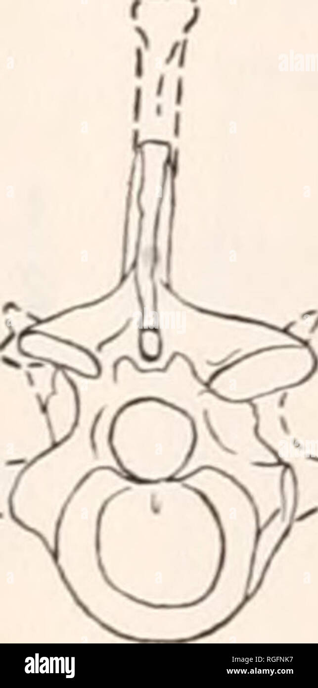 . Bulletin of the Museum of Comparative Zoology at Harvard College ...