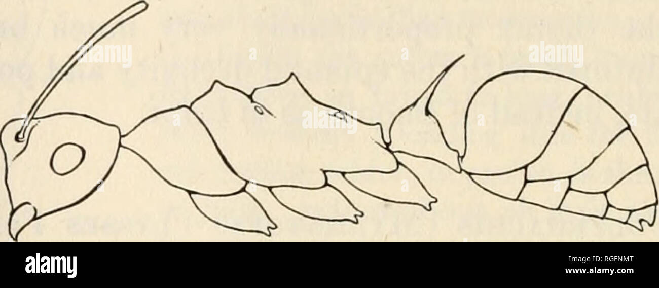 Maliali hi-res stock photography and images - Alamy