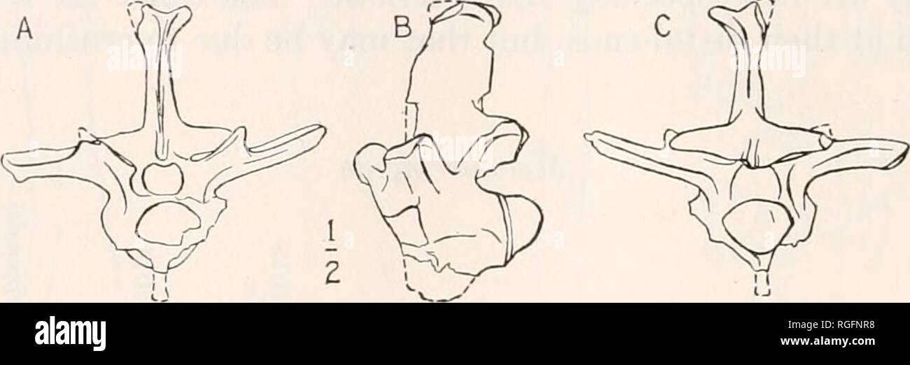 . Bulletin of the Museum of Comparative Zoology at Harvard College ...