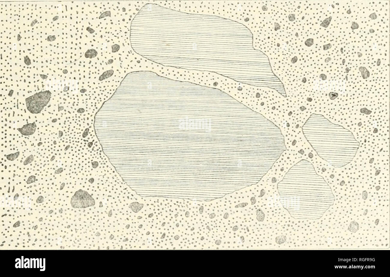 Tillite hi-res stock photography and images - Alamy