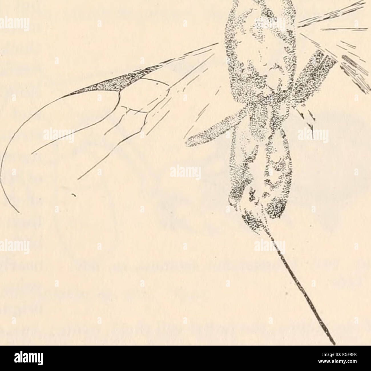 . Bulletin of the Museum of Comparative Zoology at Harvard College ...