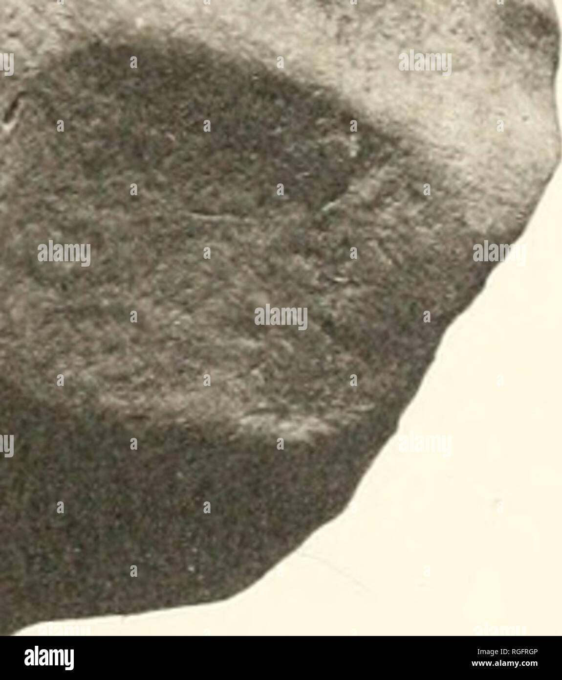 Tillite hi-res stock photography and images - Alamy