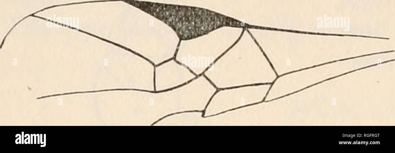 . Bulletin of the Museum of Comparative Zoology at Harvard College ...