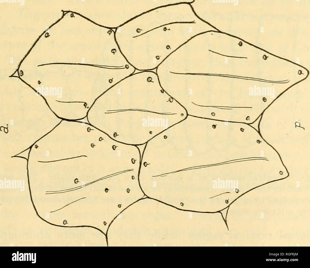 Extracted pavement hi-res stock photography and images - Alamy