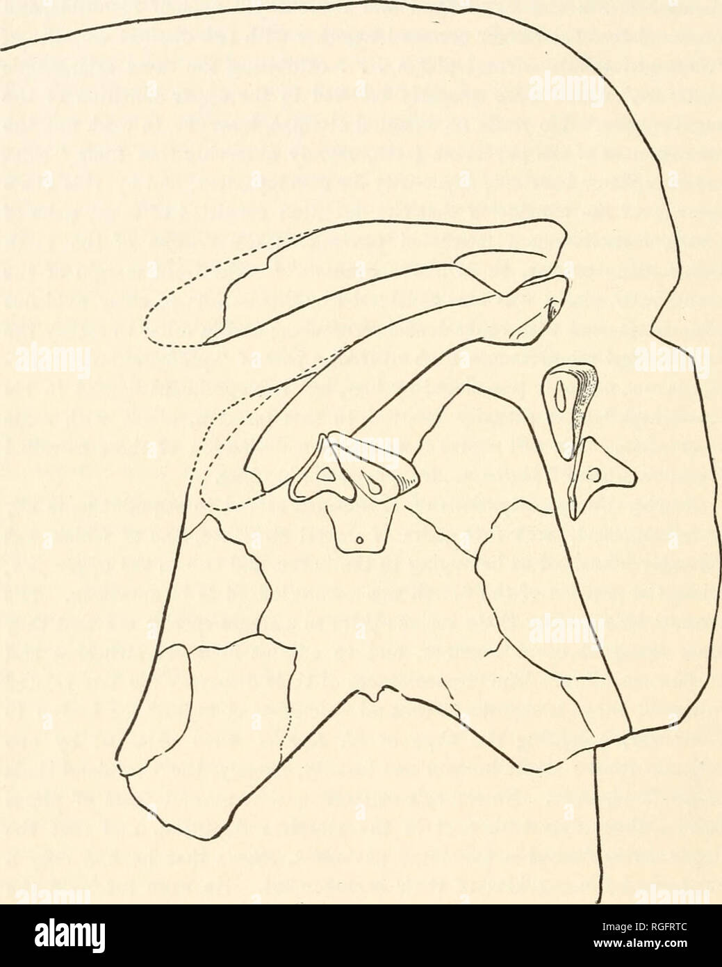 A 7526 hi-res stock photography and images - Alamy