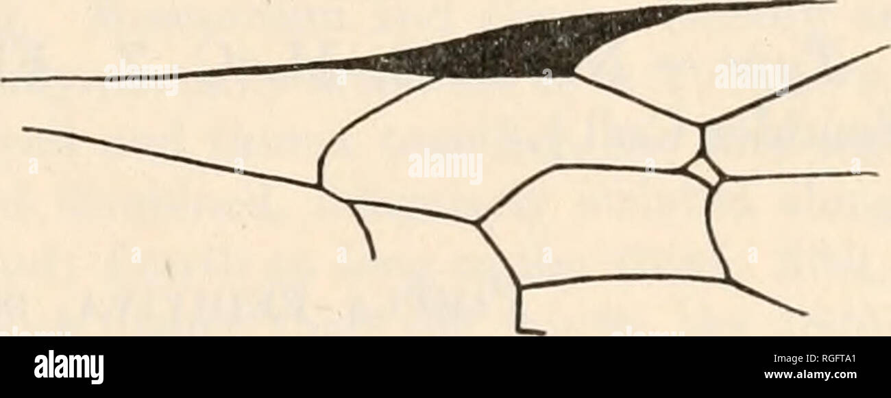 . Bulletin of the Museum of Comparative Zoology at Harvard College ...