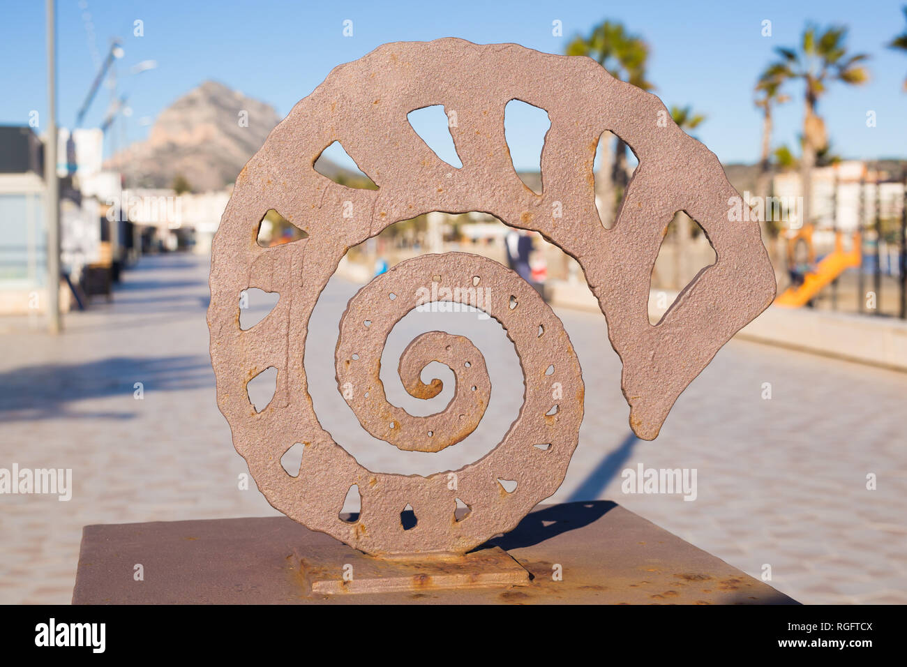 Cornicopia shells hi-res stock photography and images - Alamy