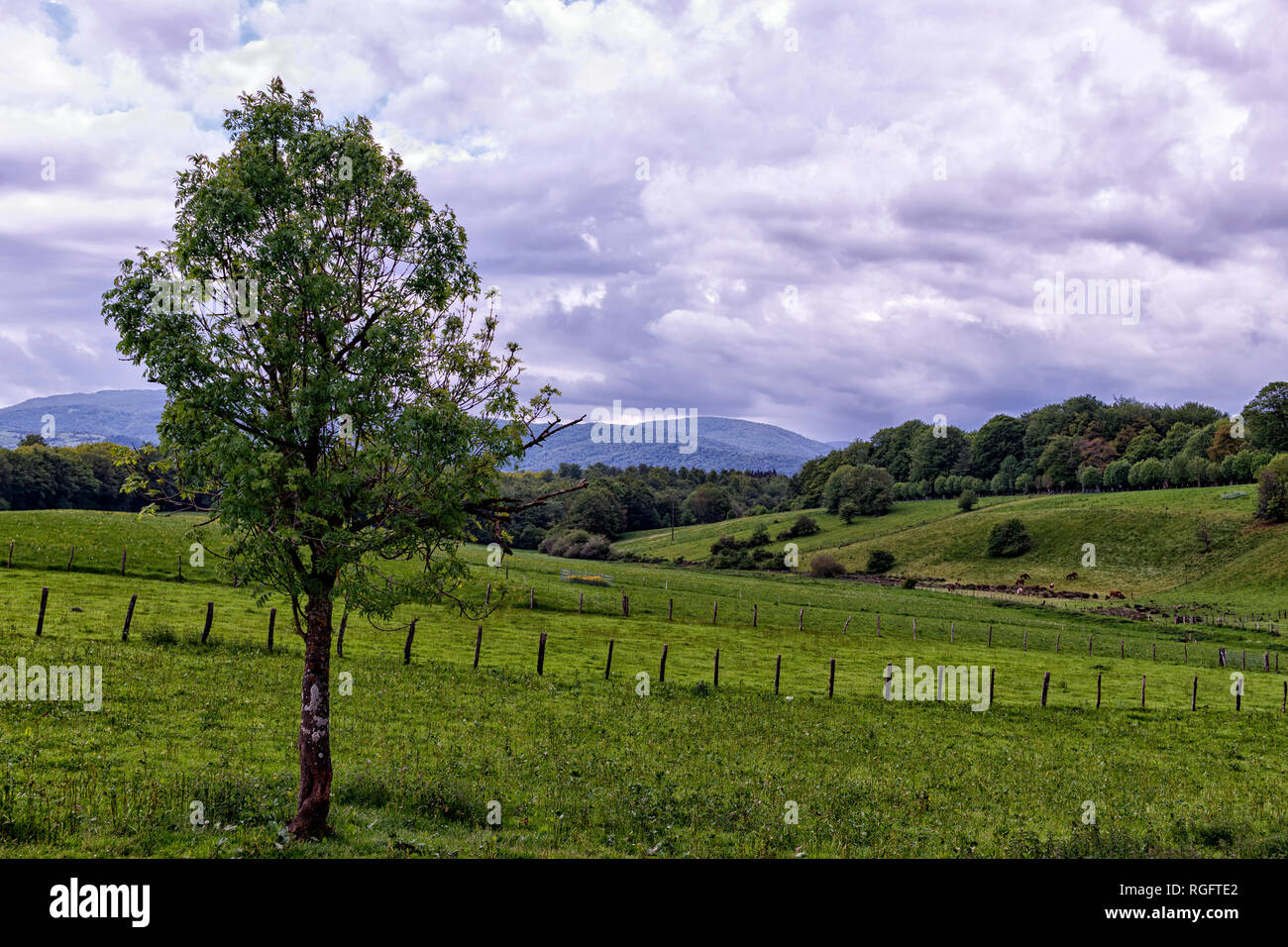 landscape in spanish pyrenees Stock Photo - Alamy