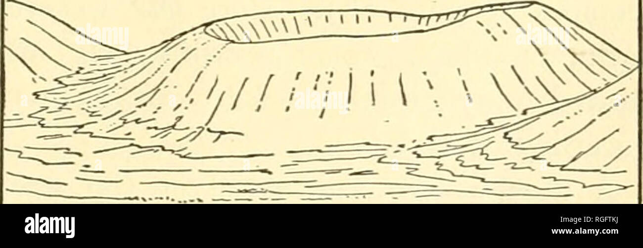 . Bulletin of the Museum of Comparative Zoology at Harvard College ...