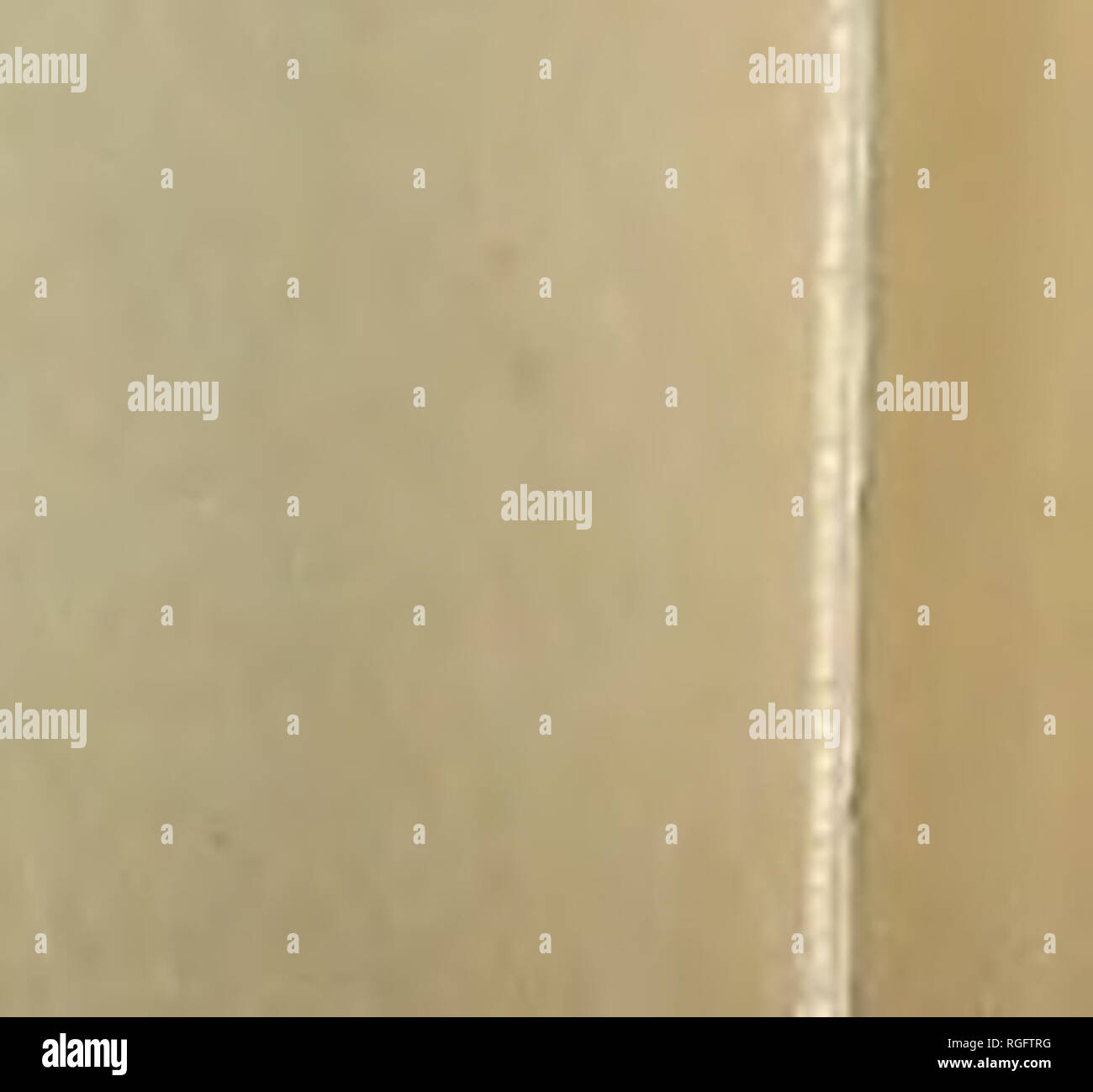 Salpa fusiformis hi-res stock photography and images - Alamy