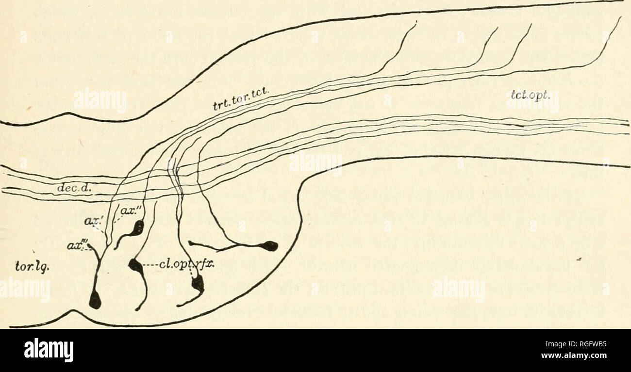 . Bulletin of the Museum of Comparative Zoology at Harvard College ...