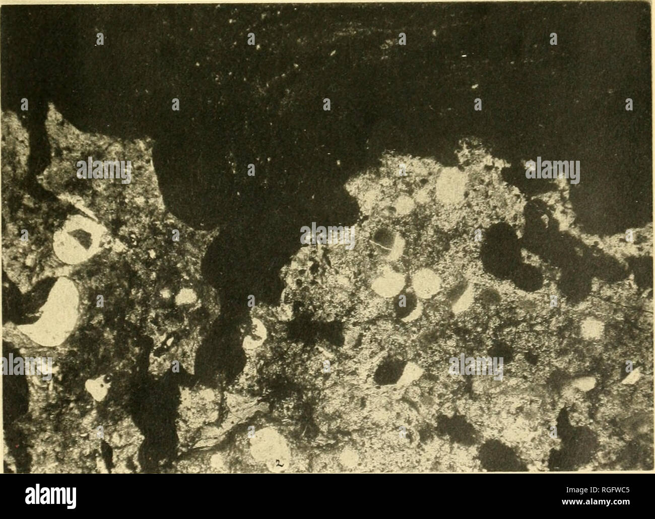 Heliotype printing co hi-res stock photography and images - Alamy