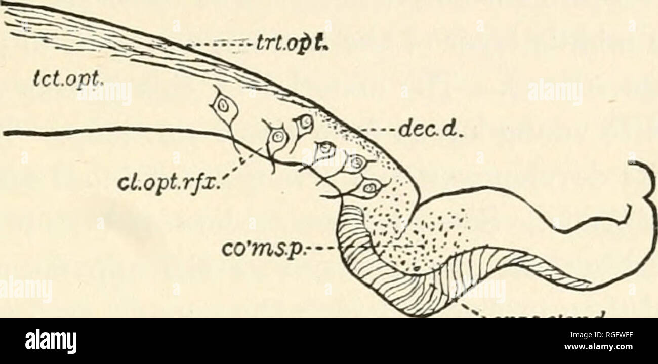 . Bulletin of the Museum of Comparative Zoology at Harvard College ...
