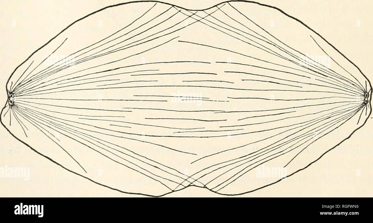 . Bulletin of the Museum of Comparative Zoology at Harvard College ...